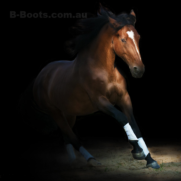 About B-Boots - Quality Equine Protective Work & Bell Boots